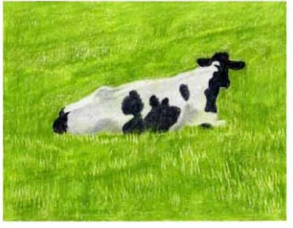 A Book Of Cows / Page 2 / A Collection of Original Cow Art and ...