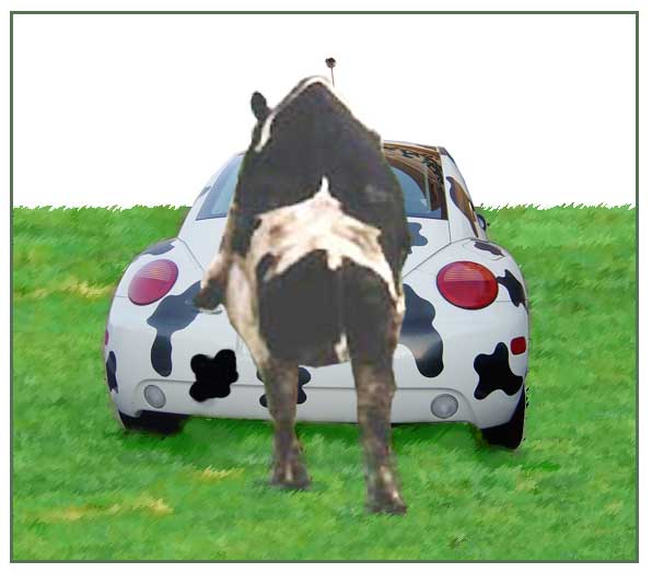 A Book Of Cows / Page 4 / A Collection of Original Cow Art and ...