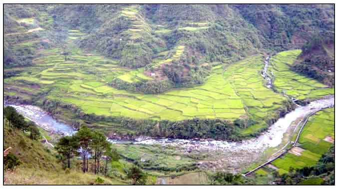 A Trip to Sagada / Rice Terraces / StuartXchange