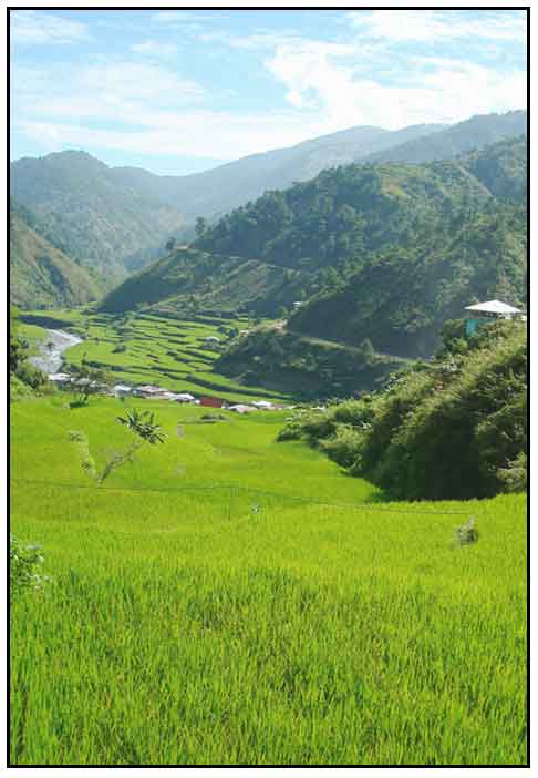 A Trip to Sagada / Rice Terraces / StuartXchange